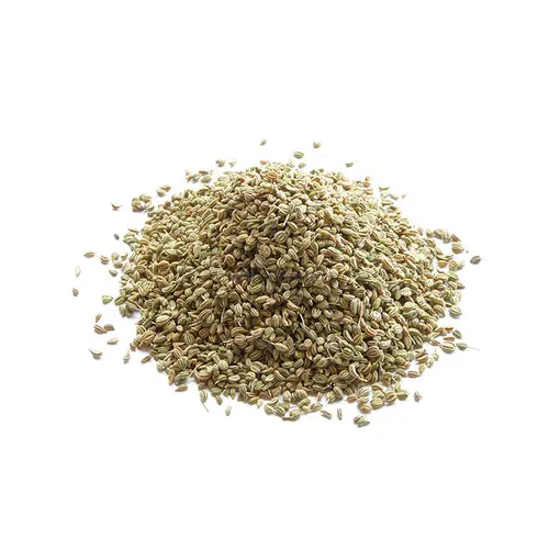 Carum Copticum - Ajwain - TheWholesalerCo – TheWholesalerCo India