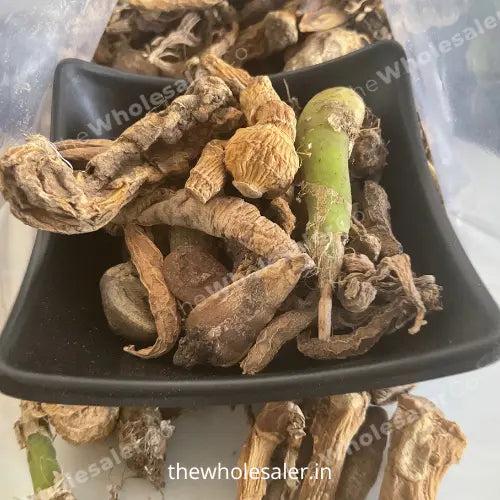 Malaxis muscifera - Jeevak - TheWholesalerCo – TheWholesalerCo India