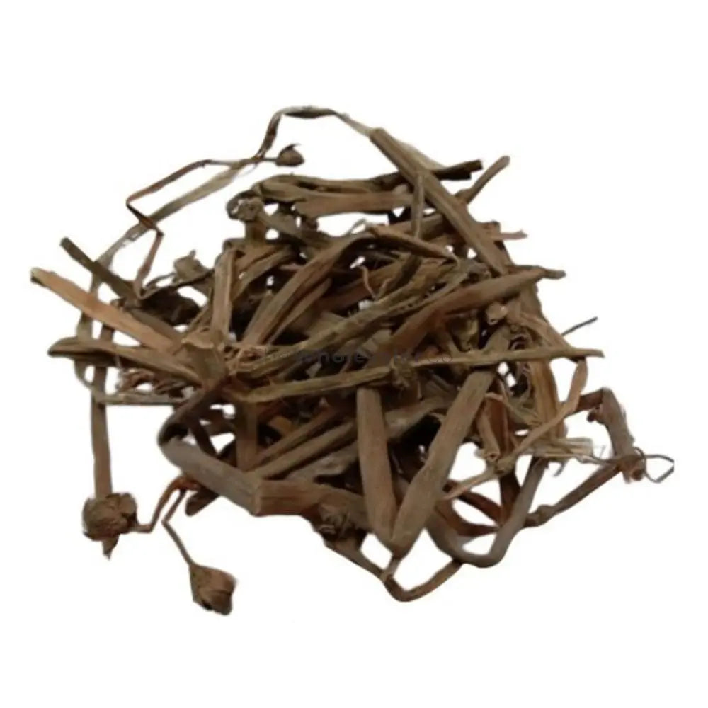 Pavonia odorata - Netrabala/Fragrant Swamp Mallow - TheWholesalerCo ...