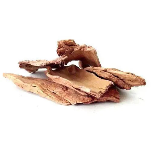 Terminalia arjuna - Arjuna - TheWholesalerCo – TheWholesalerCo India