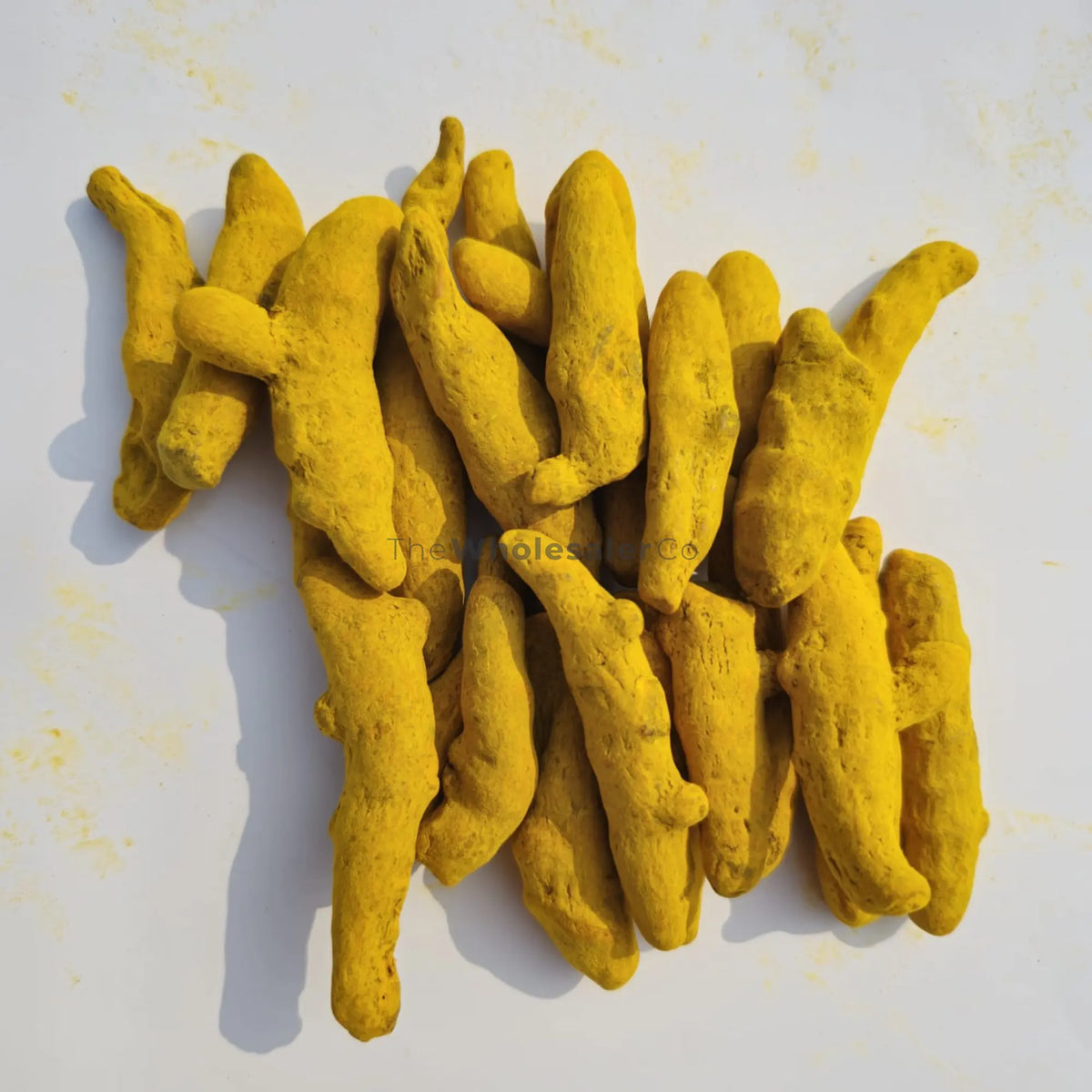 Raw Turmeric Whole - Kachchi haldi - Curcuma longa – TheWholesalerCo India