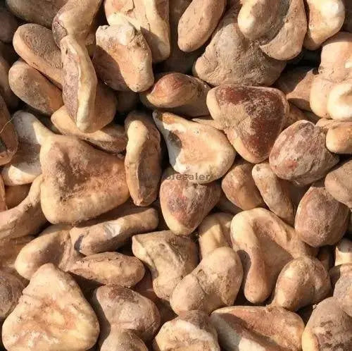 Water Chestnut, Cut - Singhara Dried - Trapa bispinosa ...