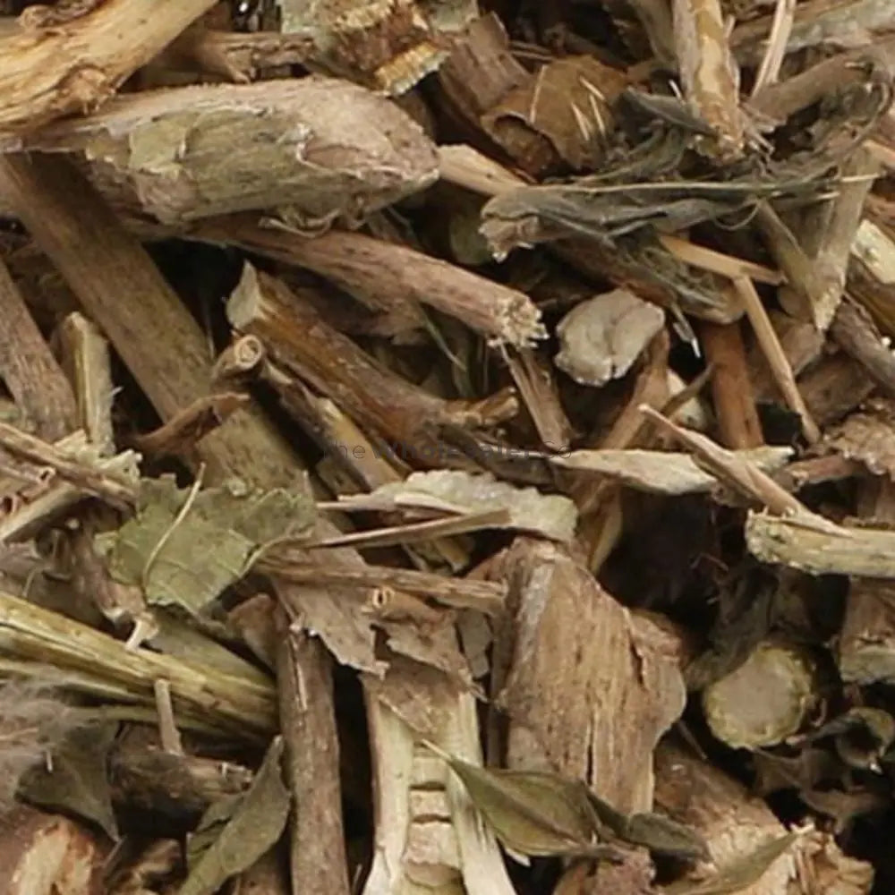 Bansa Black - Malabar Nut - Vasa - Adusha - Adhatoda Vasica ...