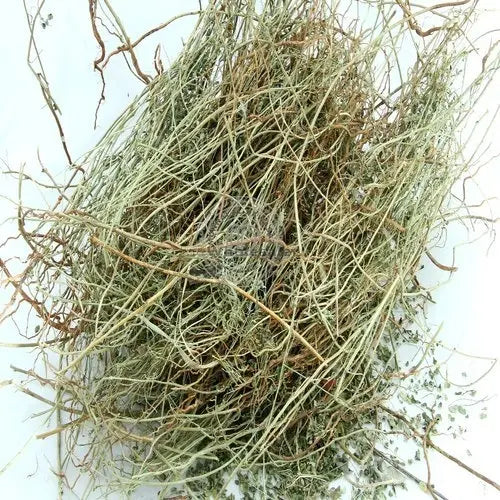 Bhumi Amla- Bhumi Aamla - Bhoomi Awla - Phyllanthus Niruri ...