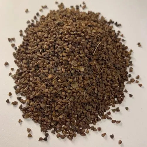 Henna Seeds - Beej Mehndi - Mehendi Beej - Lawsonia inermis- Bulk ...
