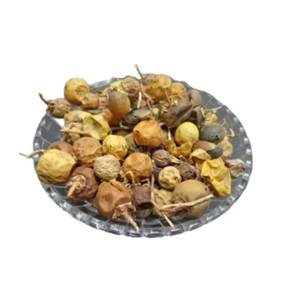 Kateri Fruit - Katehli Fal - Solanum Xanthocarpum - Bhatkatiya ...
