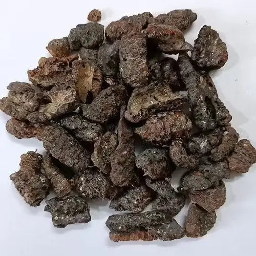 Lakh Pipal - Lakh Peepal - Ficus Religiosa - Shellac Lac - Lakh Kachli ...
