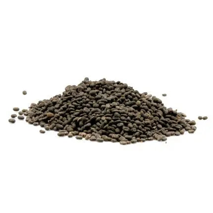 Surwali Beej - Sirwali Beej - Plumed Cockscomb Seeds - Celosia Argentea ...